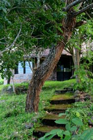 Arusha hatari - better than the movie