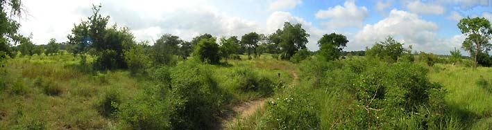 Bush farm - more than only bush