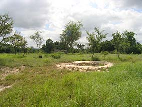 Bush farm - more than only bush