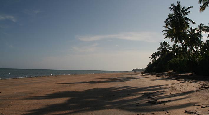 REEF resort - big & busy business